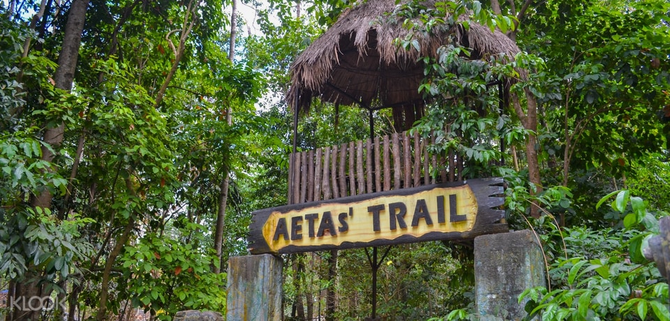 Up to 50% Off | Zoobic Safari Admission Ticket in Subic from Manila ...