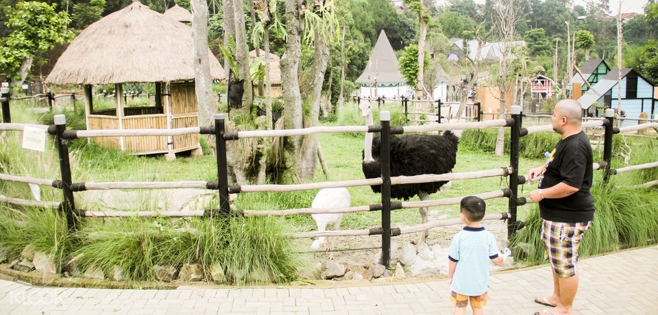 Tiket Lembang Park & Zoo di Bandung