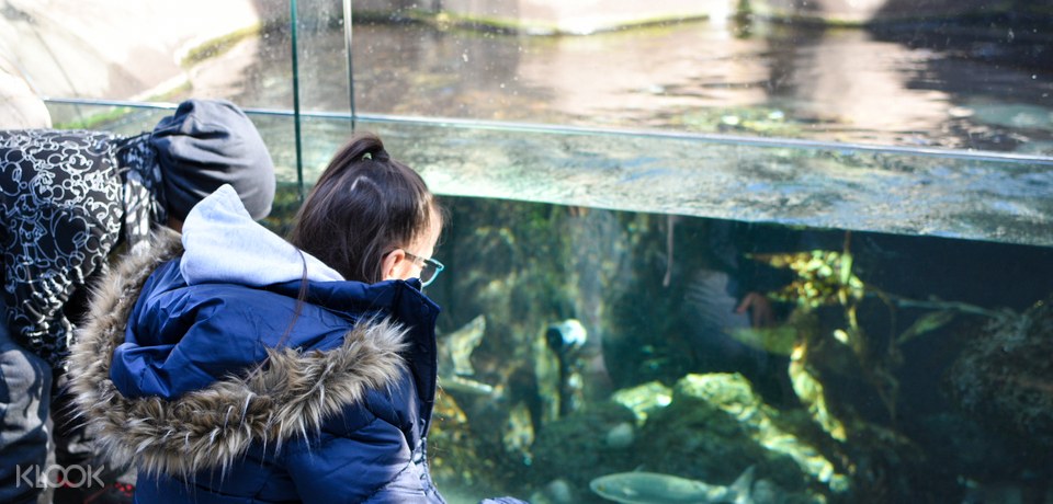 Melbourne Zoo Ticket In Melbourne Klook Singapore melbourne-zoo-ticket-in-melbourne-klook-singapore