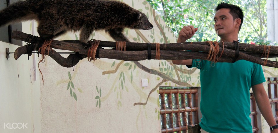 Ocean Adventure Ticket in Subic Bay