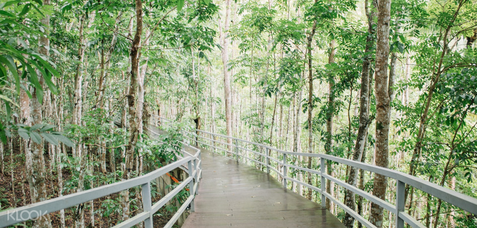 Cebu Safari and Adventure Park Ticket in Cebu