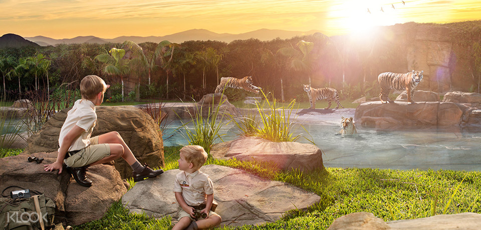 Buy Dreamworld Entry Ticket, Gold Coast Online - Klook US