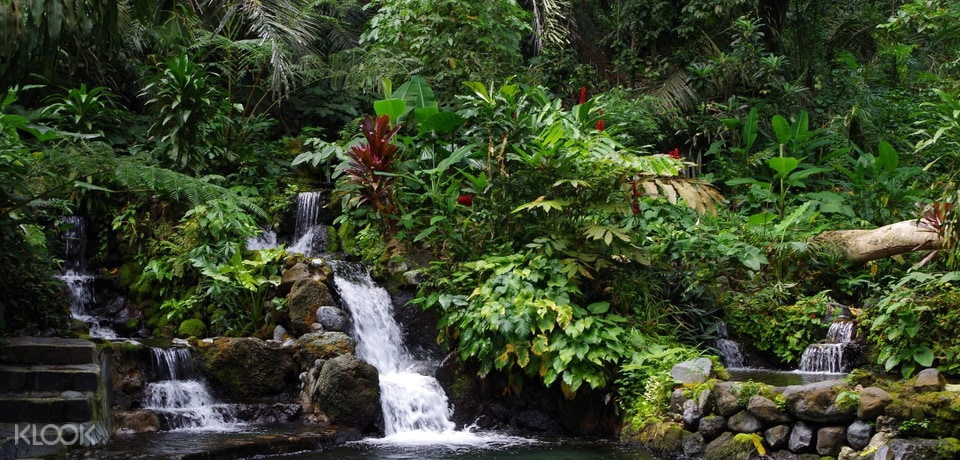Hidden Valley Springs Private Day Tour from Manila by Vina Tour ...