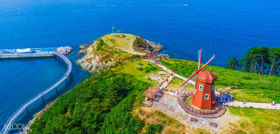 Special Oedo Island Day Tour from Busan