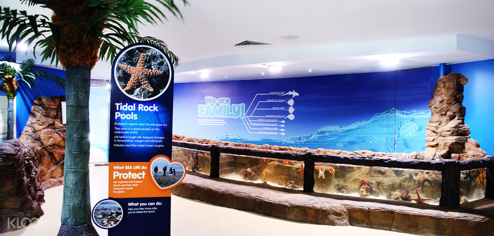 Underwater World SEA LIFE Mooloolaba Admission Ticket - Sunshine Coast ...