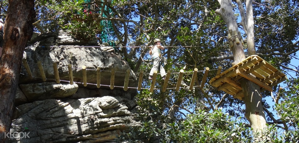 Treetop Climbing and Ziplining Experience - Klook Hong Kong