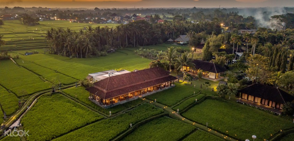 Afternoon Tea at Tanah Gajah Ubud