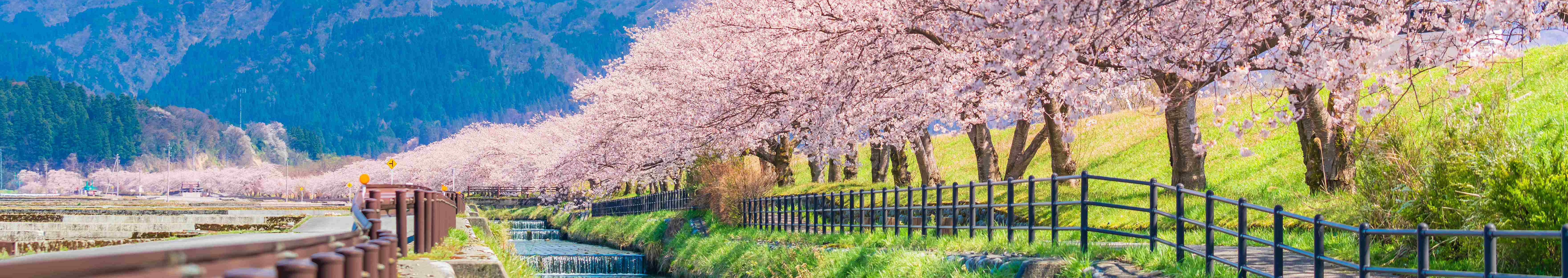 Toyama Hotels: Deals & discounts for hotels in Toyama, Japan