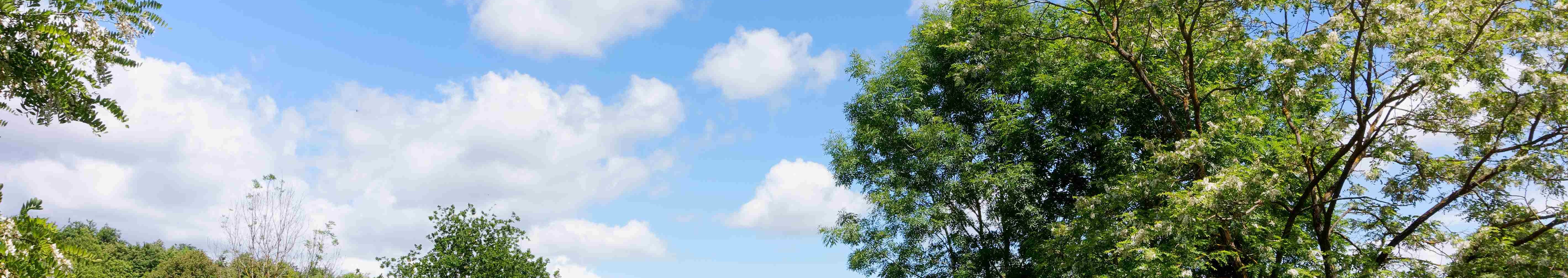 Best things to do in Palaiseau 2025 | Attractions & activities - Klook US