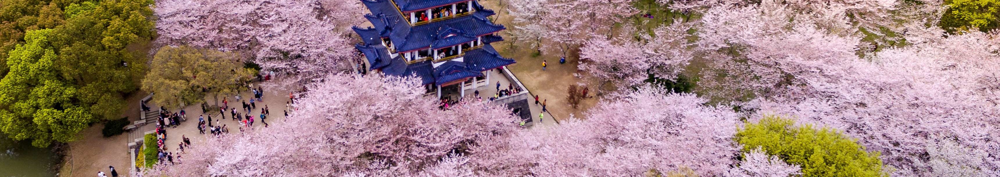 Best things to do in Wuxi 2025 | Attractions & activities - Klook US