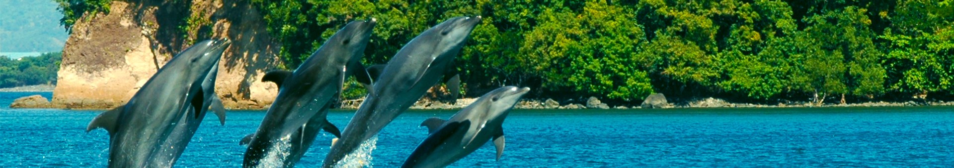 Objek Wisata di Subic & Clark yang Wajib Dikunjungi 2025