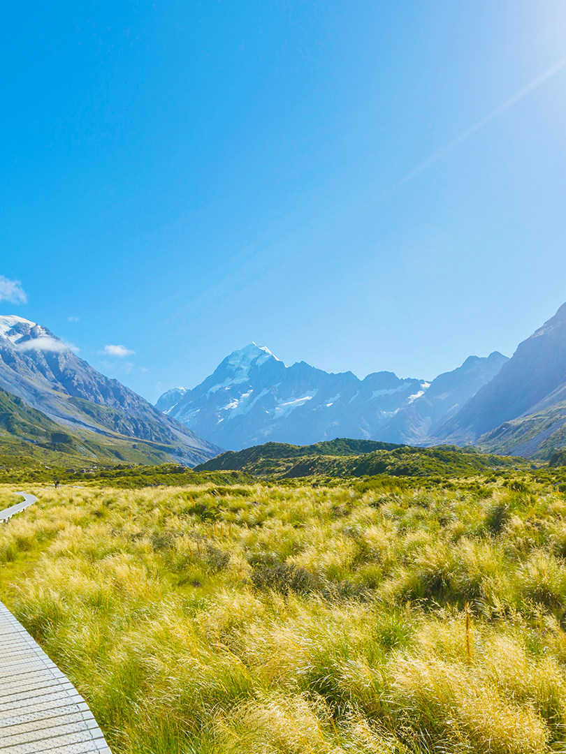 Best things to do in Lake Tekapo & Mount Cook 2025 | Attractions ...
