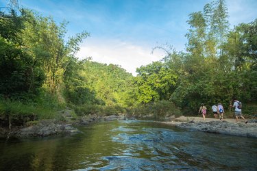 Mount Purro Nature Reserve in Antipolo | 2025 Updated prices, deals ...