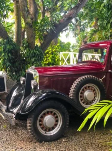 Estuar Farm in Binangonan | 2023 Updated prices, deals - Klook United ...