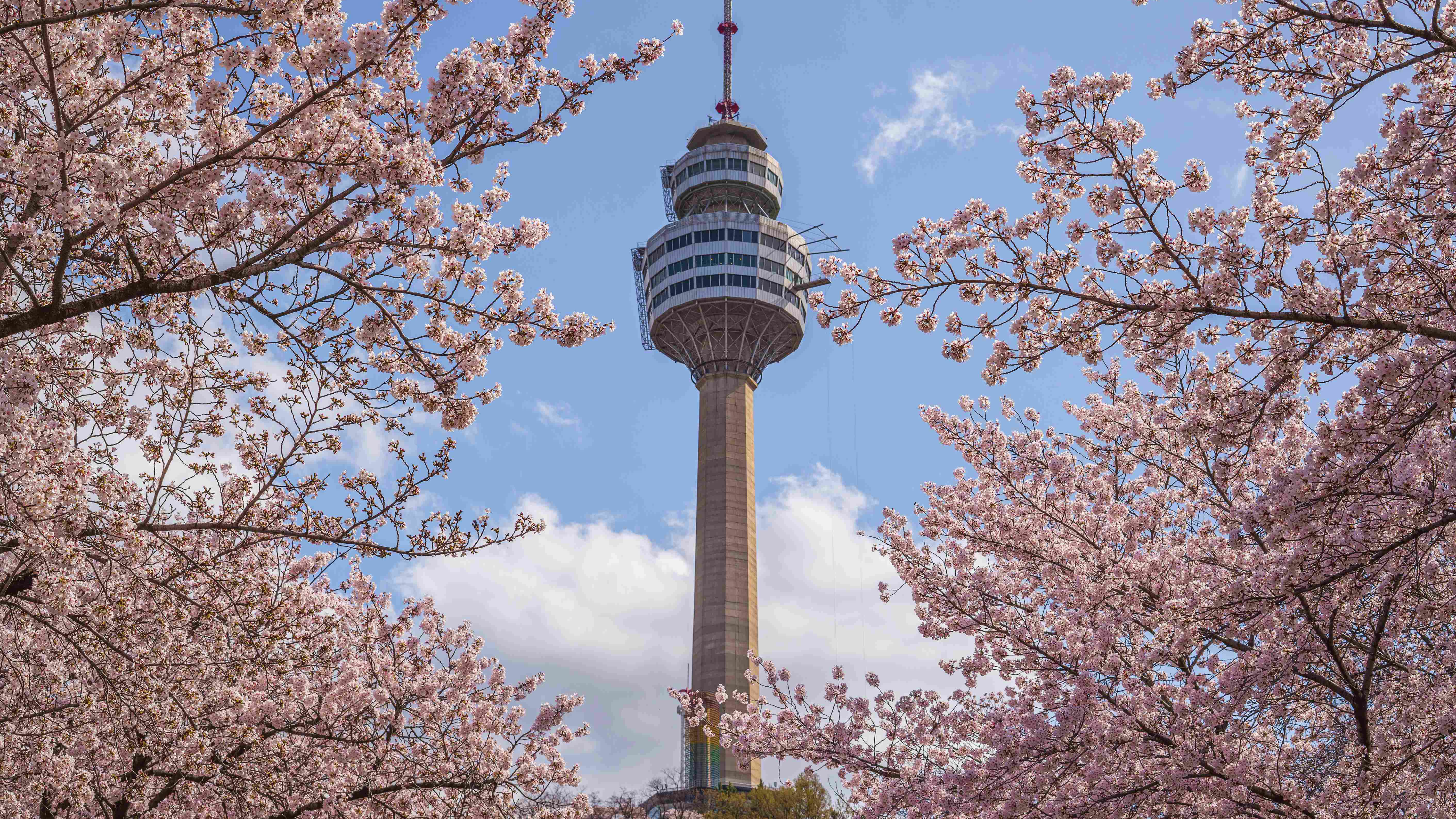 Best Things to Do in Daegu 2025