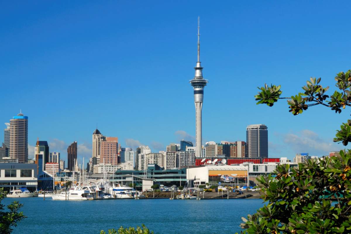 19 Top Activities in Auckland (2020) with Reviews