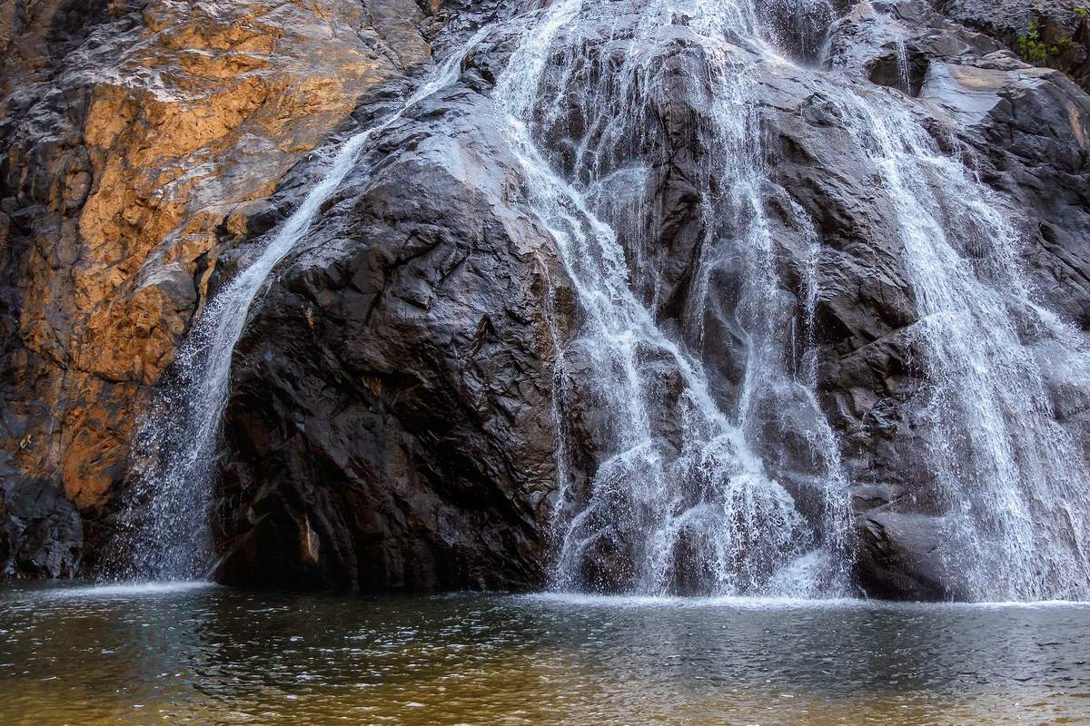 20 Top Activities in Goa (2020) with Reviews