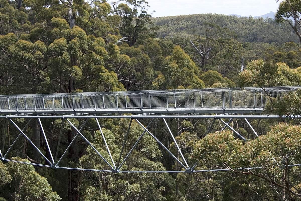 20 Top Activities in Perth (2020) with Reviews