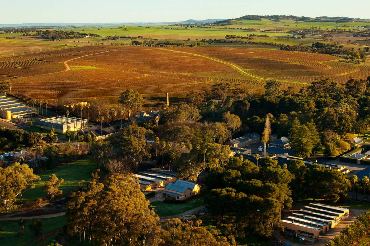 20 Top Activities in Adelaide (2020) with Reviews