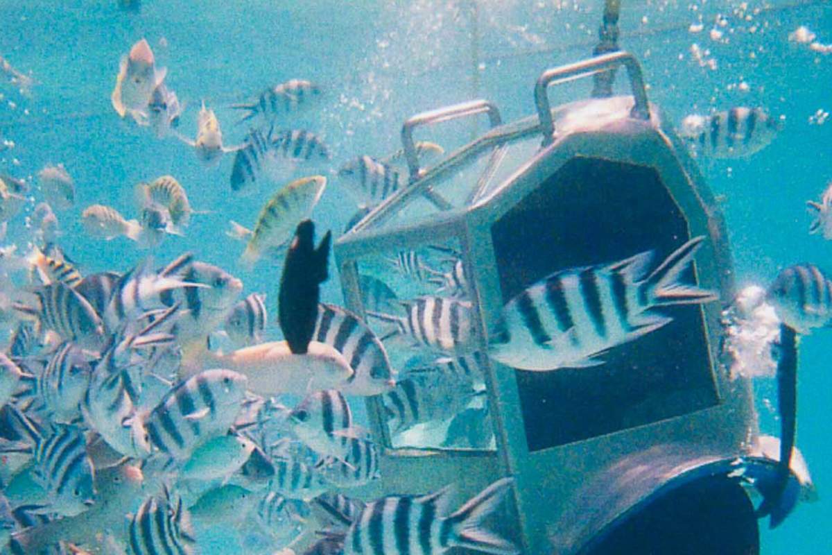 19 Top Activities in Mauritius (2020) with Reviews