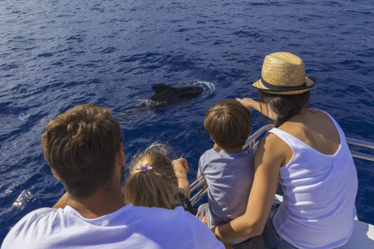 20 Top Activities in Canary Islands (2020) with Reviews
