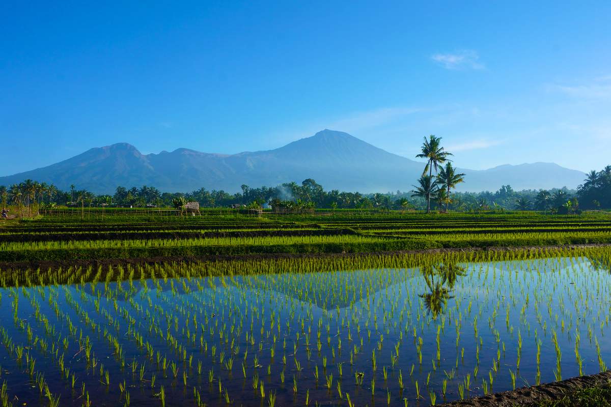 19 Top Activities in Lombok (2020) with Reviews