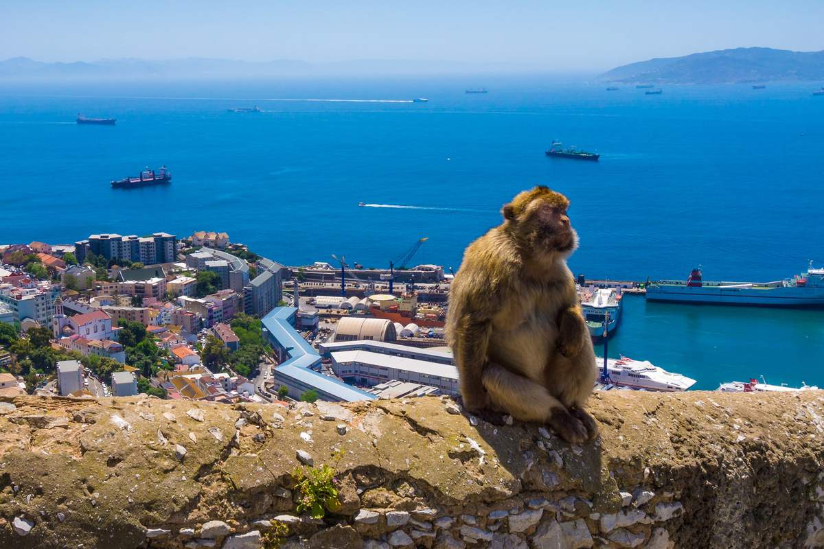 17 Top Activities in Malaga (2020) with Reviews