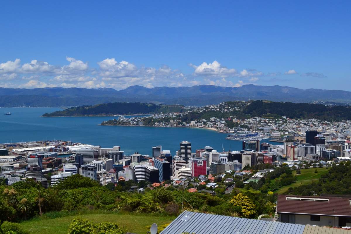 14 Top Activities in Wellington (2020) with Reviews