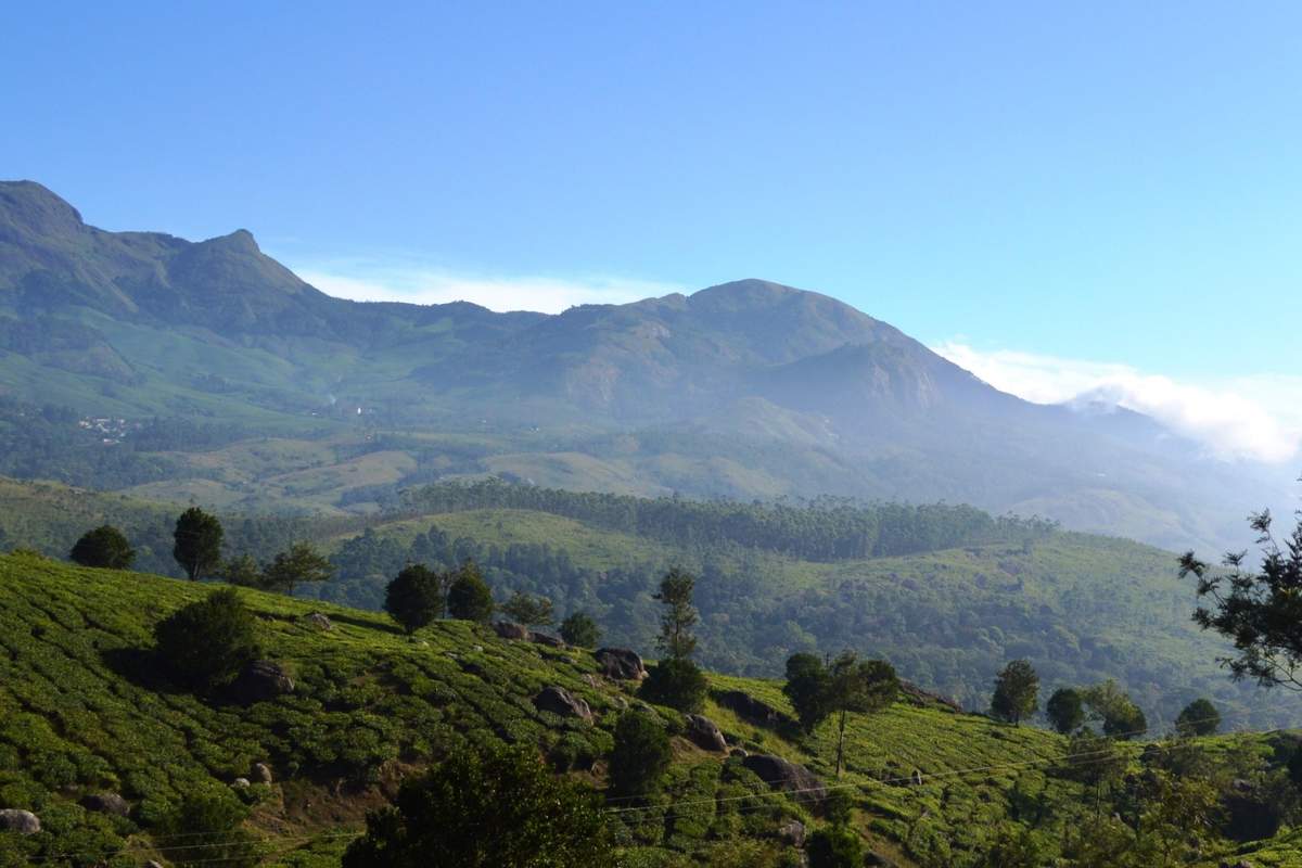 11 Top Activities in Munnar (2020) with Reviews