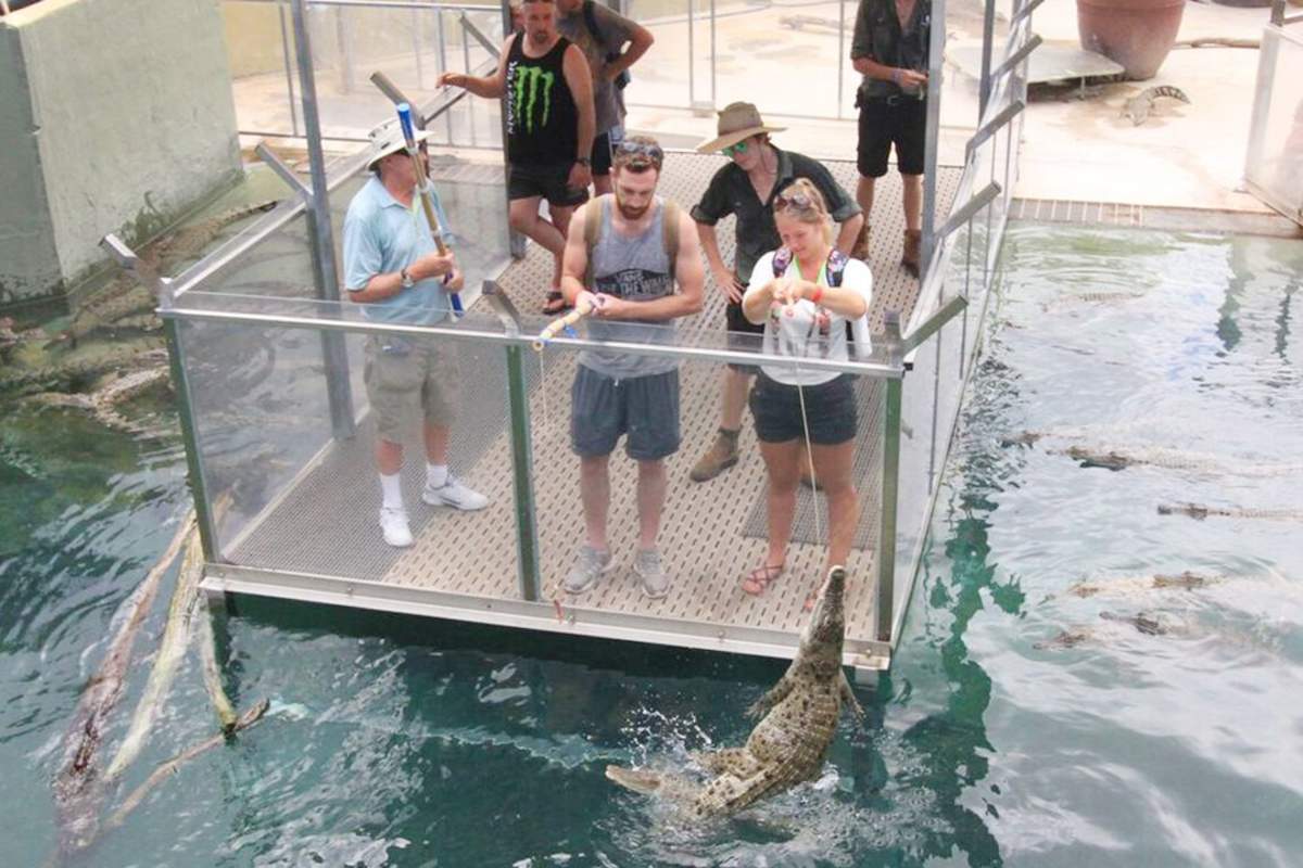 14 Top Activities in Darwin (2020) with Reviews