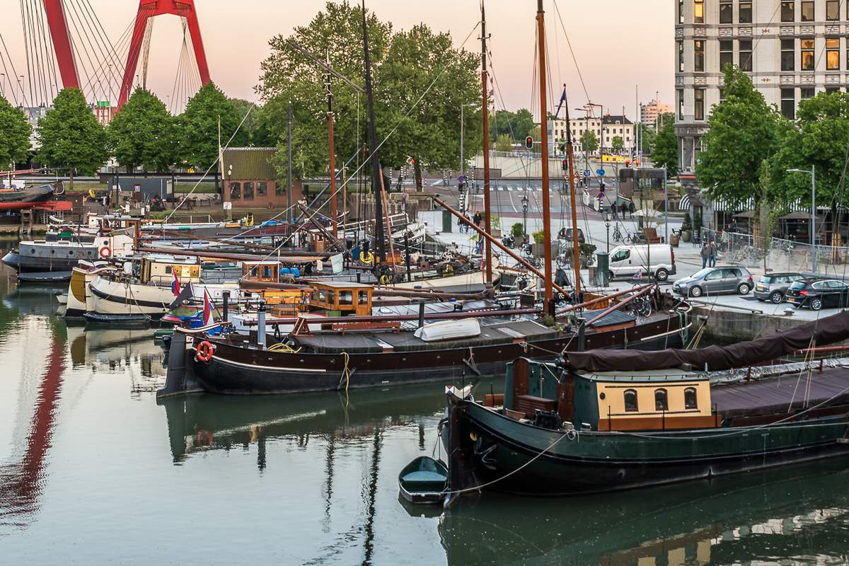 15 Top Activities in Rotterdam (2020) with Reviews