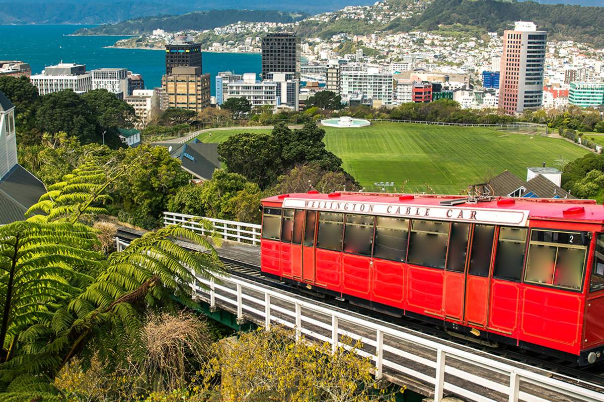 14 Top Activities in Wellington (2020) with Reviews