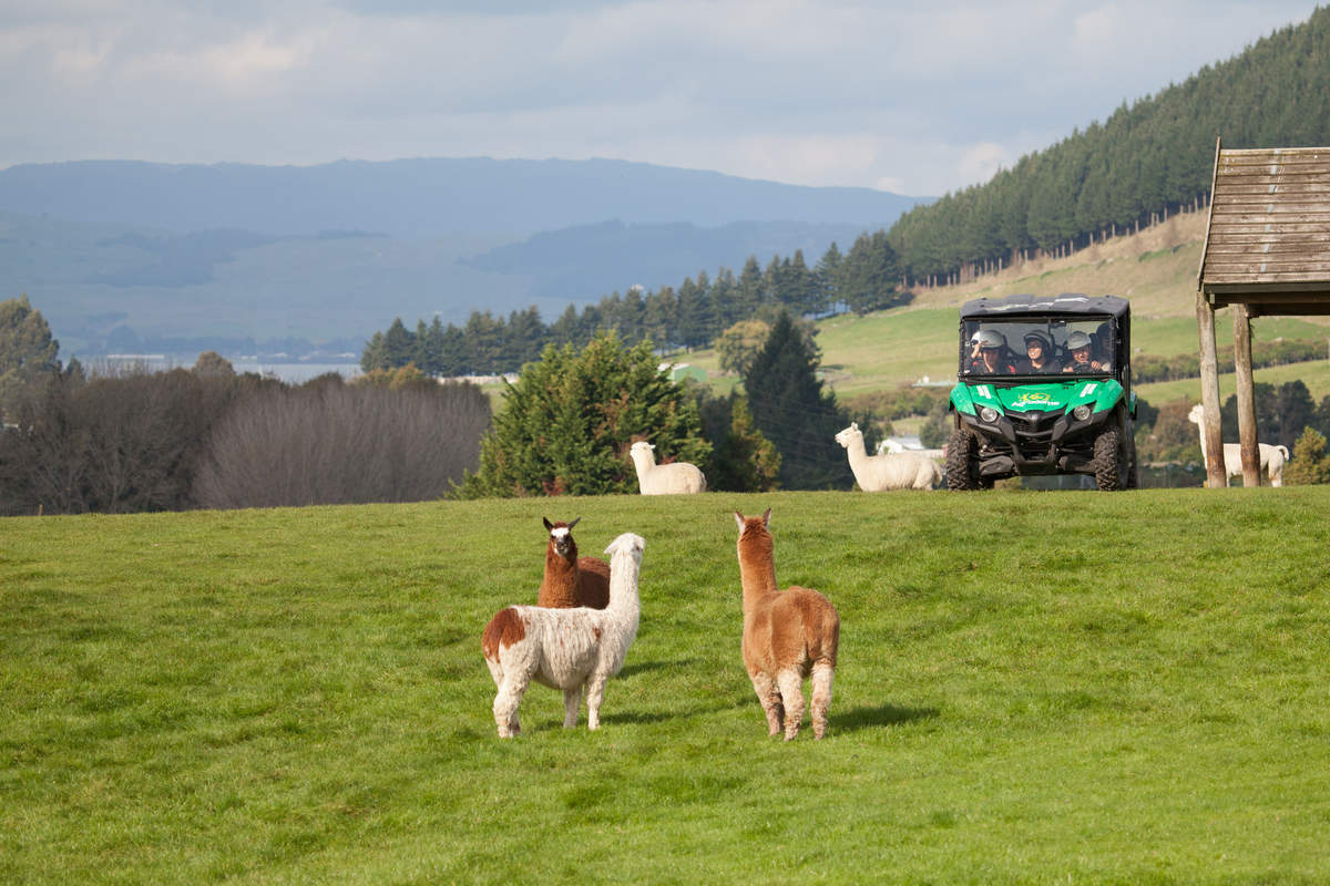 20 Top Activities in Rotorua (2020) with Reviews