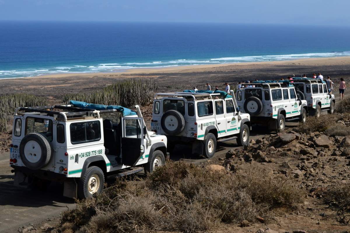 20 Top Activities in Canary Islands (2020) with Reviews