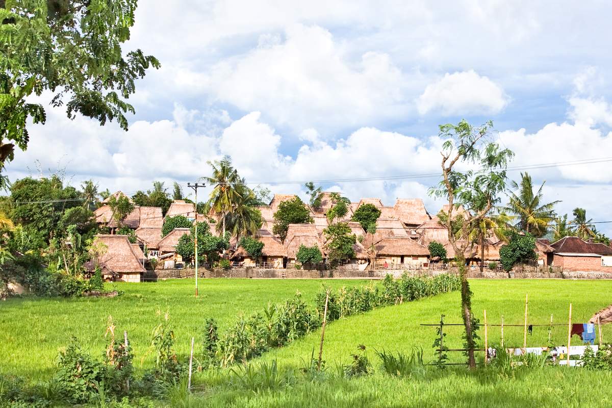 19 Top Activities in Lombok (2020) with Reviews