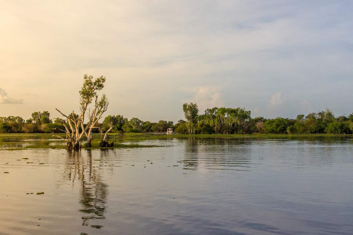 14 Top Activities in Darwin (2020) with Reviews