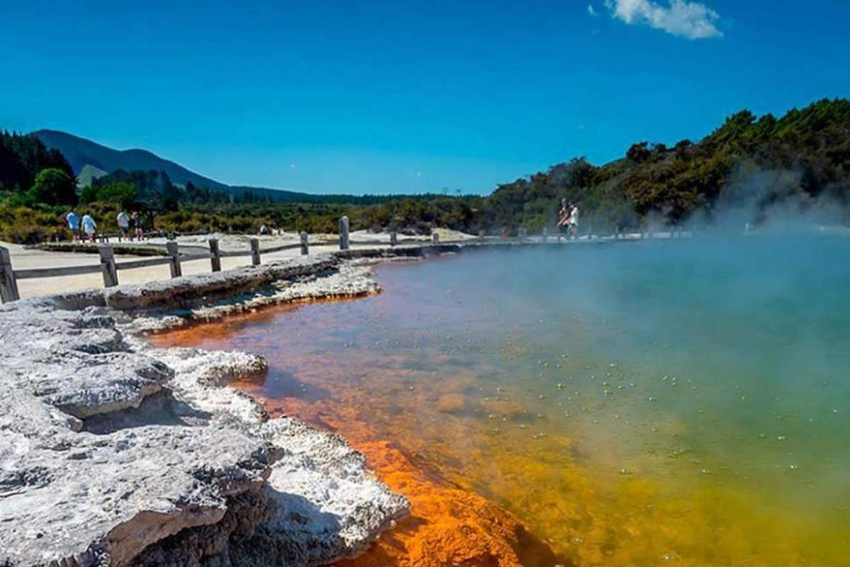 20 Top Activities in Rotorua (2020) with Reviews
