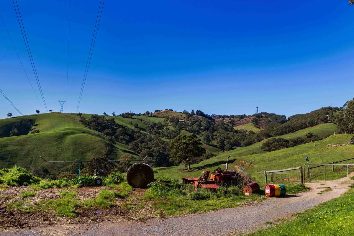 20 Top Activities in Adelaide (2020) with Reviews