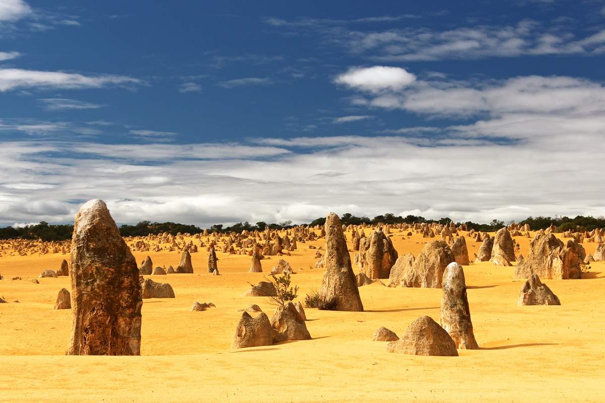 20 Top Activities in Perth (2020) with Reviews