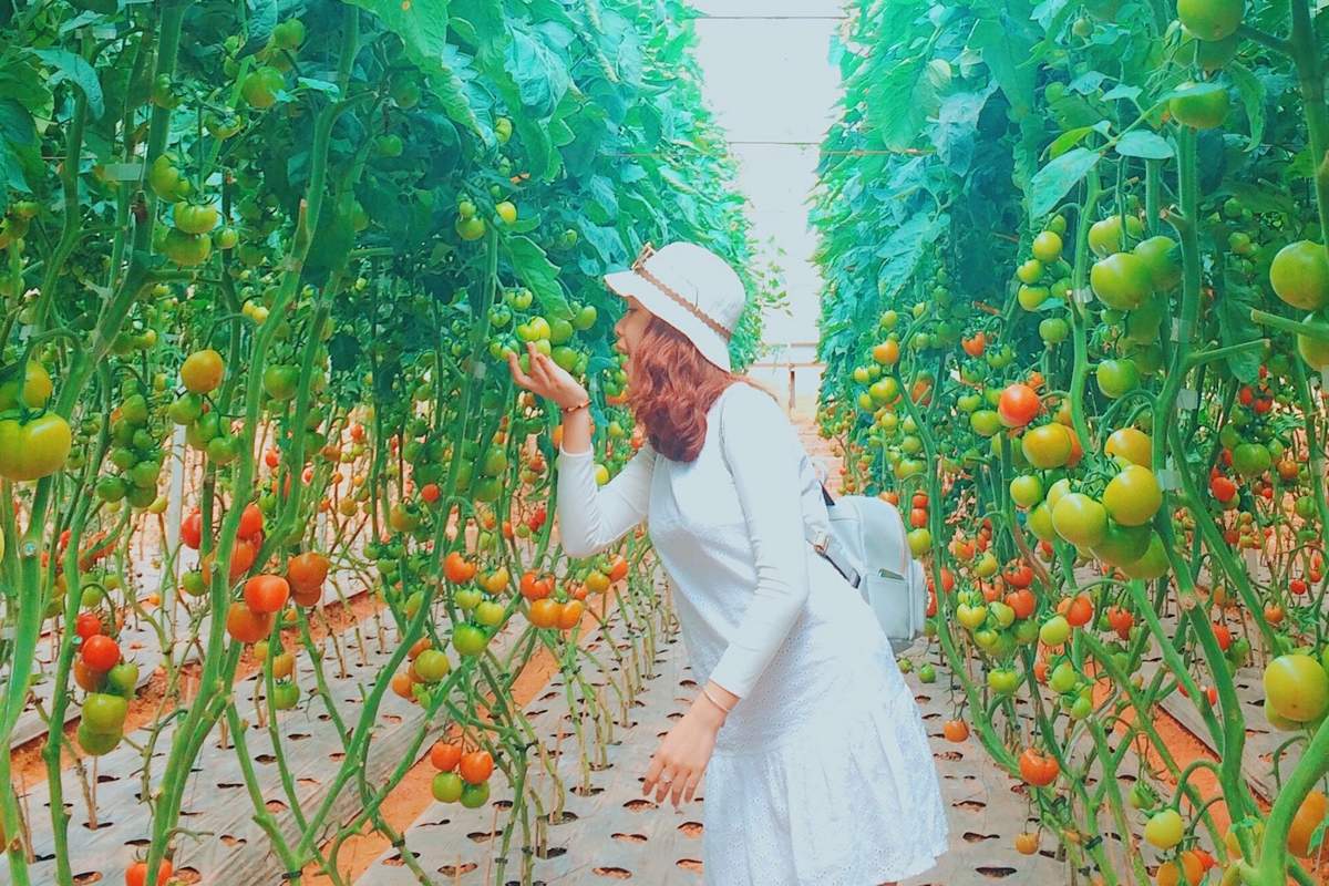 19 Top Activities in Dalat (2020) with Reviews