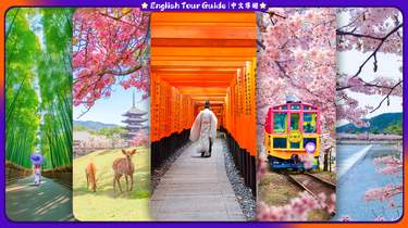 Tokyo to Nara: How to get to and around Nara - Access, Transport and ...