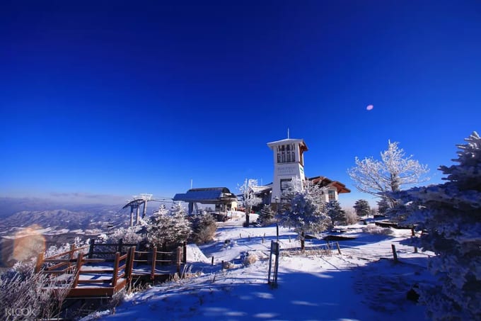 [Seasonal] Here’s Where You Can Enjoy A Winter Wonderland In South ...