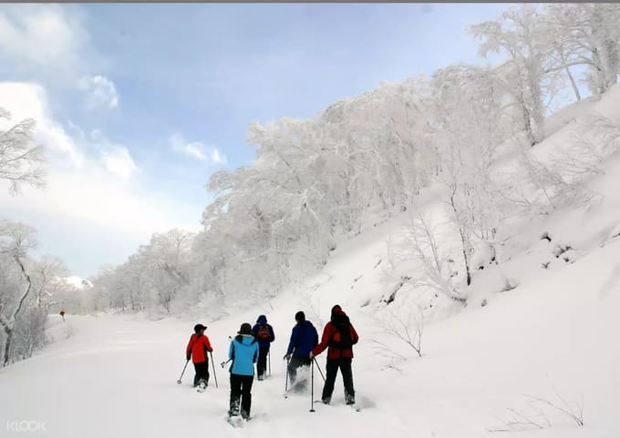 [Seasonal] 10 Cool Activities In Japan For Your Winter Holiday - Klook ...