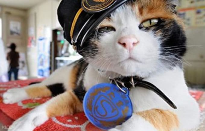 17 Attractions Worth A Day Trip From Osaka Including The Naruto ...