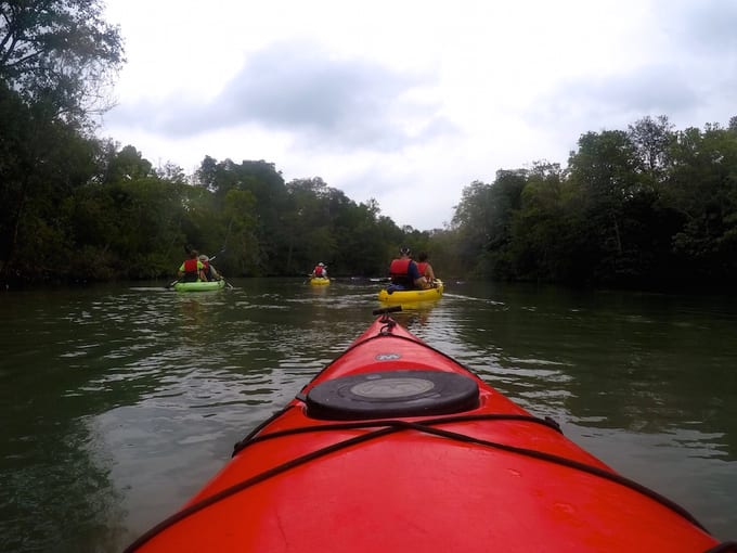 Tried and Tested: Mangrove Kayaking in Singapore - Klook Travel Blog
