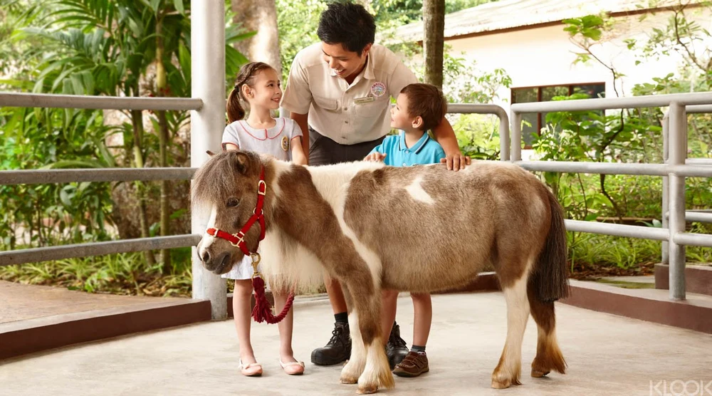 Kinh Nghiệm Đi Singapore Zoo, River Safari, Night Safari và Vườn Chim ...