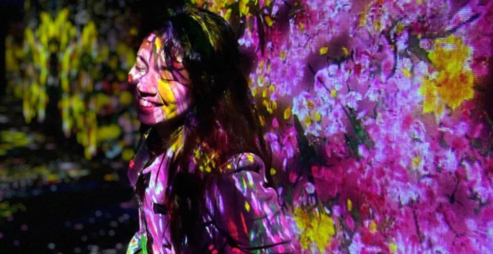 teamLab Planets vs. teamLab Borderless: Which One Should I Go To ...