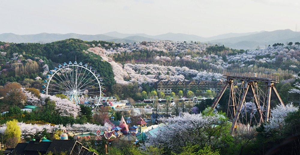 Explore South Korea’s Beautiful Hidden Gem Gyeonggi-Do - Klook Travel Blog