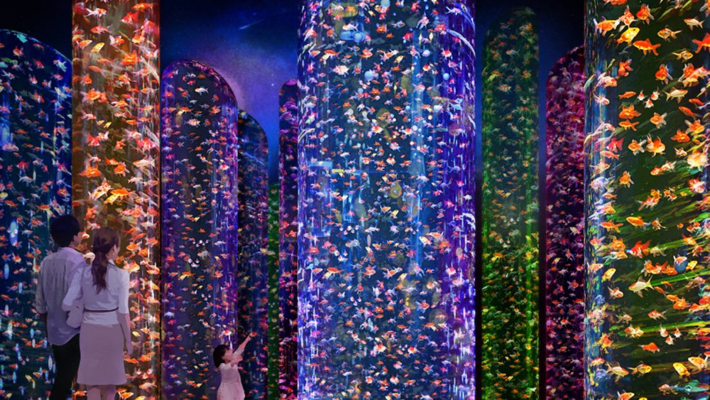 New Art Aquarium With 30,000 Graceful Goldfish Opening In Tokyo In 2020 ...