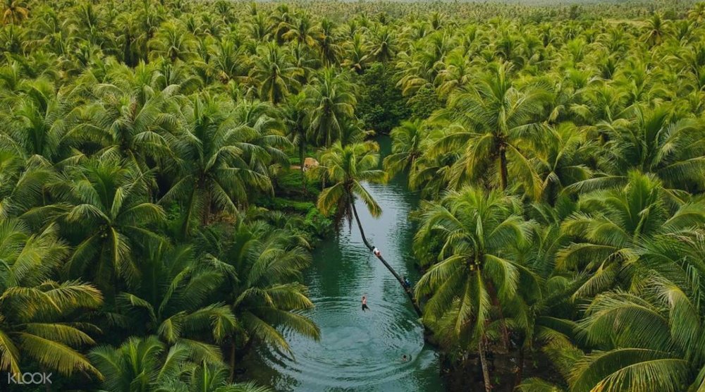 The Philippines Named the Second Most “Instagrammable” Place in the World - Klook Travel Blog